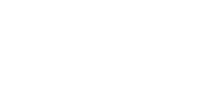 ECONOMIX – Consultant Connect